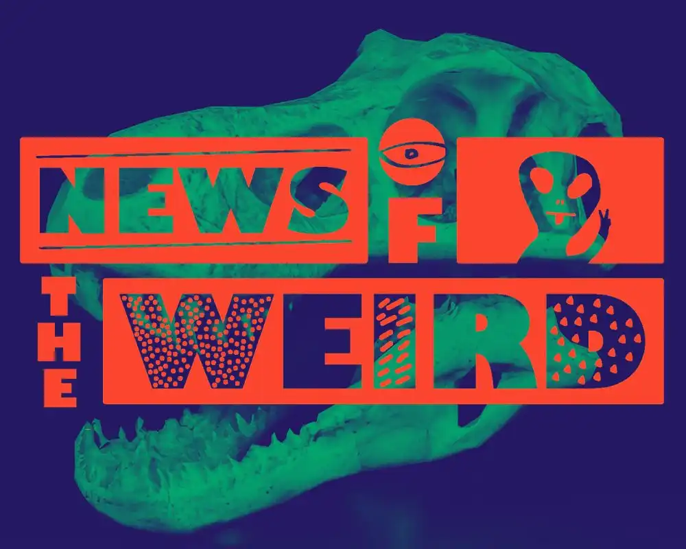 News of the Weird – June 2026 - The Funny Times